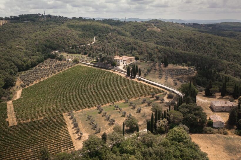 Gran Cru Wines Tasting - Mocenni Estate - Practical Tips for Visitors