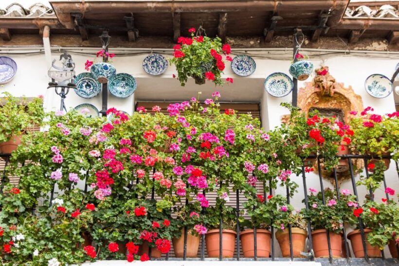 Granada: 2hour Tour of The Albaicín & Sacromonte Premium - Final Thoughts: Is It Worth It?