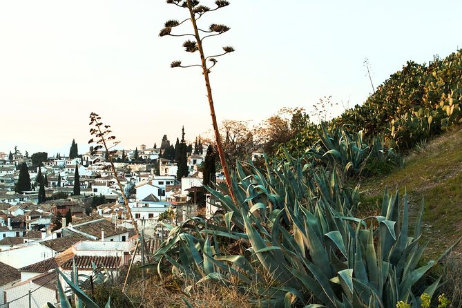 Granada: Albaicin and Sacromonte Private Tour - Views of the Alhambra Palace