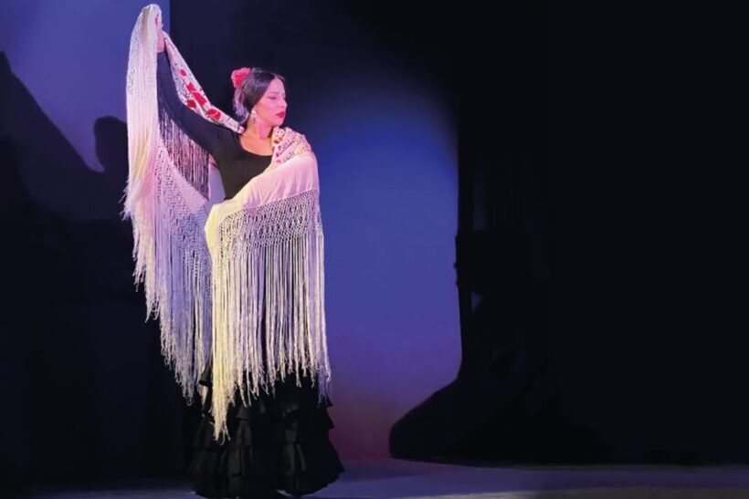 Granada: Albaicín & Sacromonte Walking Tour & Flamenco Show - Sunset Views and Photo Opportunities