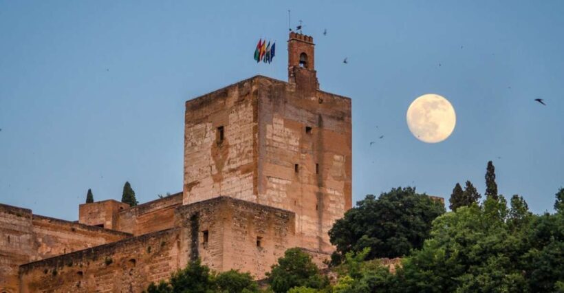 Granada: Alhambra and City Private Tour - Why This Tour Offers Great Value