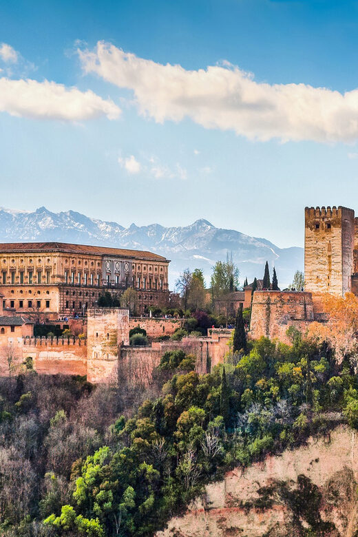 Granada: Alhambra and Nasrid Palaces Private Guide Tour - The Sum Up