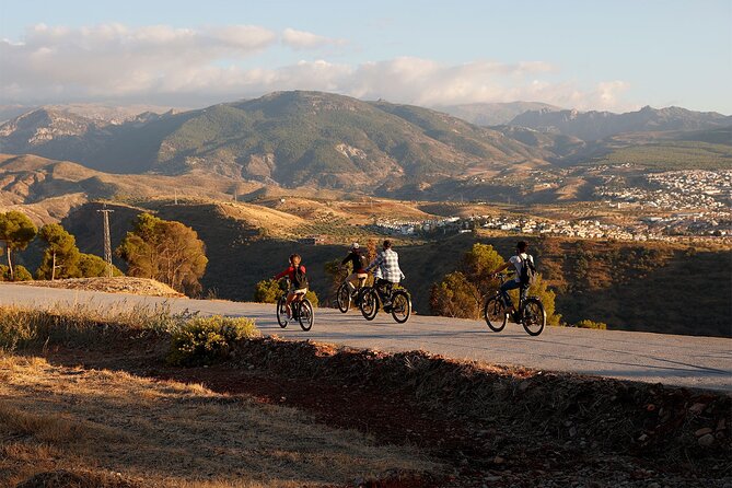 Granada: Alhambra and Sierra Nevada Sunset Views by E-Bike - Group Size and Accessibility