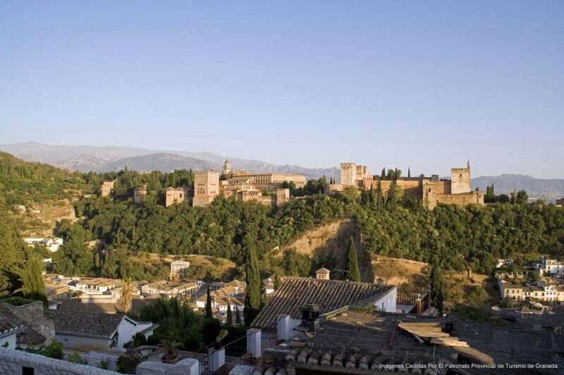 Granada: Alhambra Guided Tour and Flamenco Show - The Practicalities: What You Need to Know