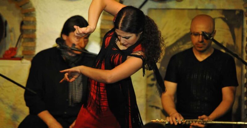 Granada: Alhambra Guided Tour and Flamenco Show - The Sum Up