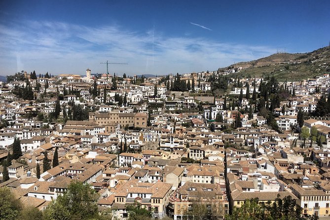 Granada and Albaicin: Wine and Tapas Tour - Highlights of the Tour