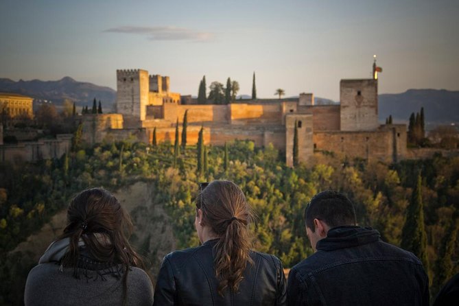 Granada and Albaicin: Wine and Tapas Tour - Traveler Feedback and Recommendations