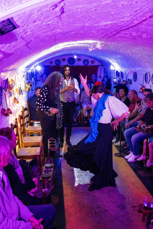 Granada: Authentic and intimate Flamenco Show with Snacks - Who Should Consider This Tour?