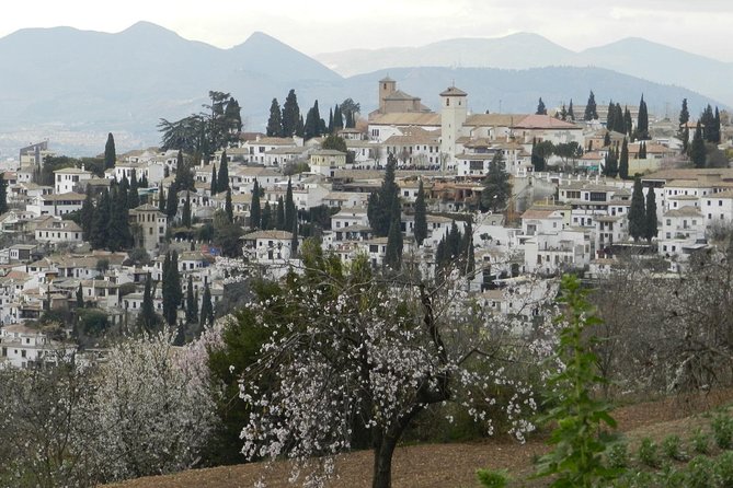 Granada Day Trip: Alhambra & Nazaries Palaces From Seville - Understanding the Historical Context