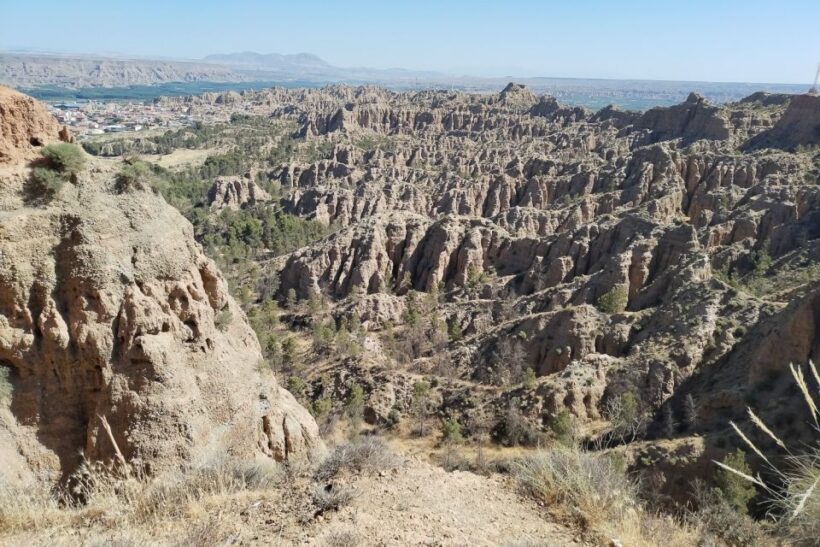 Granada: End of the World Viewpoints 4x4 Tour in the Geopark - A Sip of Local Flavor: Bodegas Palanga
