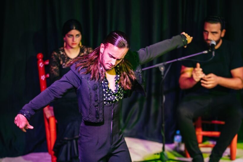 Granada: Flamenco Show in La Alboreá - The Cost and What You Get