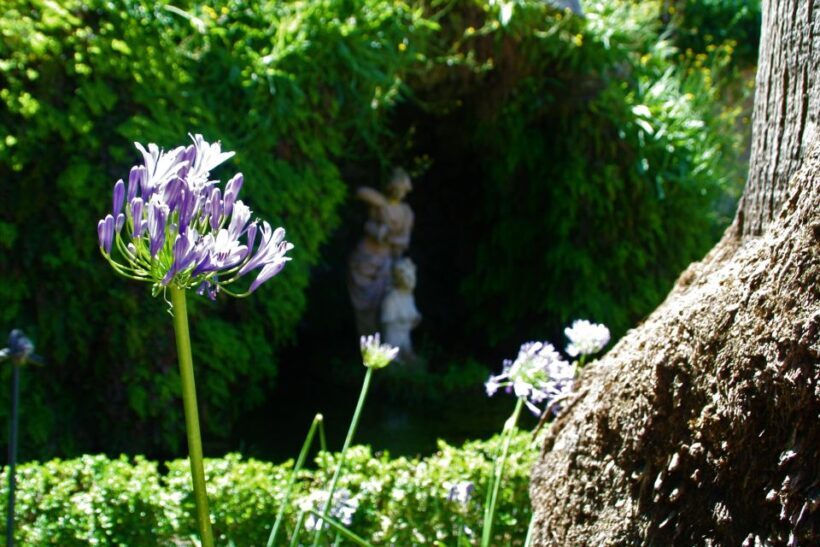 Granada: Gardens of Carmenes Guided Tour - Authentic Local Experience and Hidden Gems
