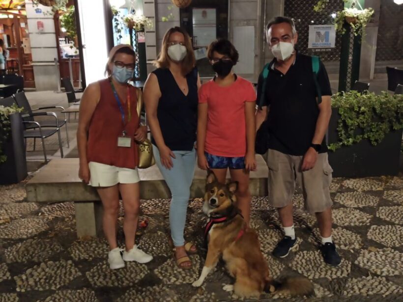 Granada: Guided Albaicín Visit with Pets - A Closer Look at the Albaicín Guided Tour