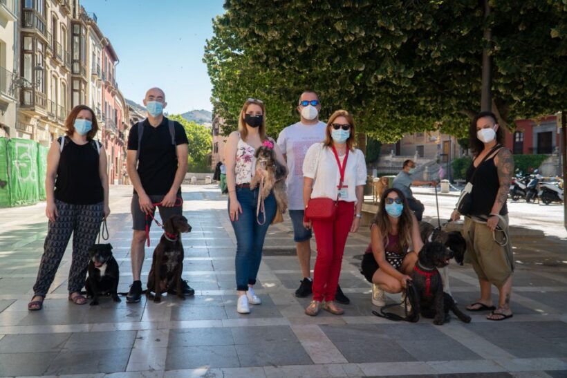 Granada: Guided Albaicín Visit with Pets - Frequently Asked Questions (FAQs)