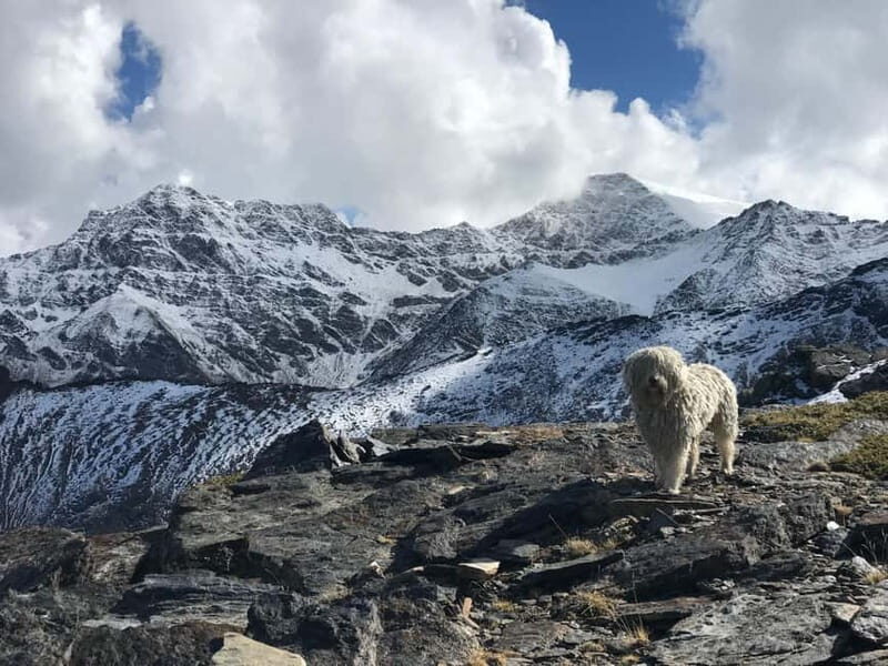 Granada: High Sierra Nevada Hiking Tour to 3000 Meters - Authenticity & Guides