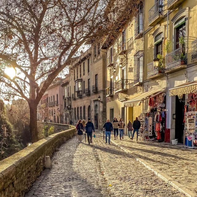Granada in full: Albaicin & the Historic Centre - Who Should Consider This Tour?