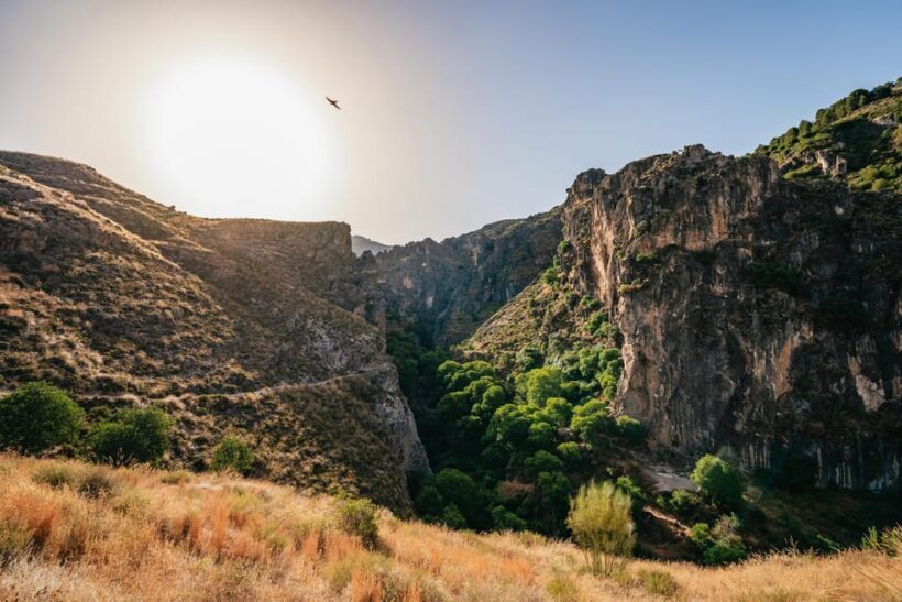 Granada: Los Cahorros de Monachil Canyon Hiking Tour - Who Should Consider This Tour?