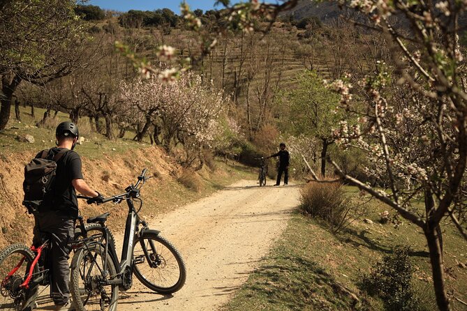 Granada: Nature, Wildlife and Authentic Villages E-bike Tour - The Sum Up