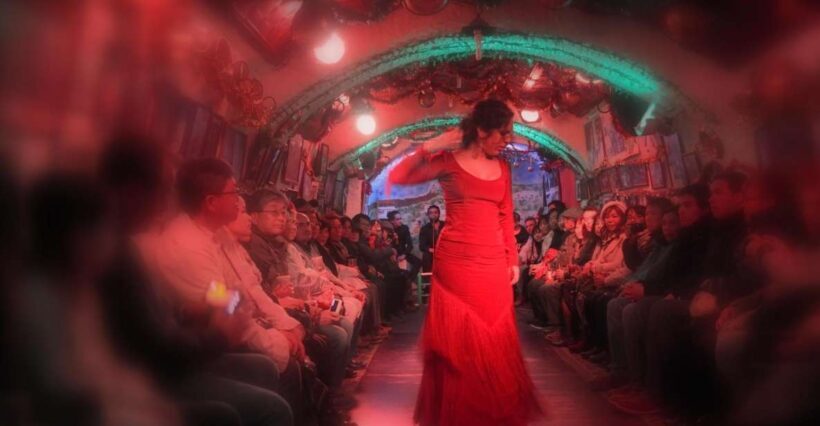 Granada: Sacromonte Caves Flamenco Show - Introduction