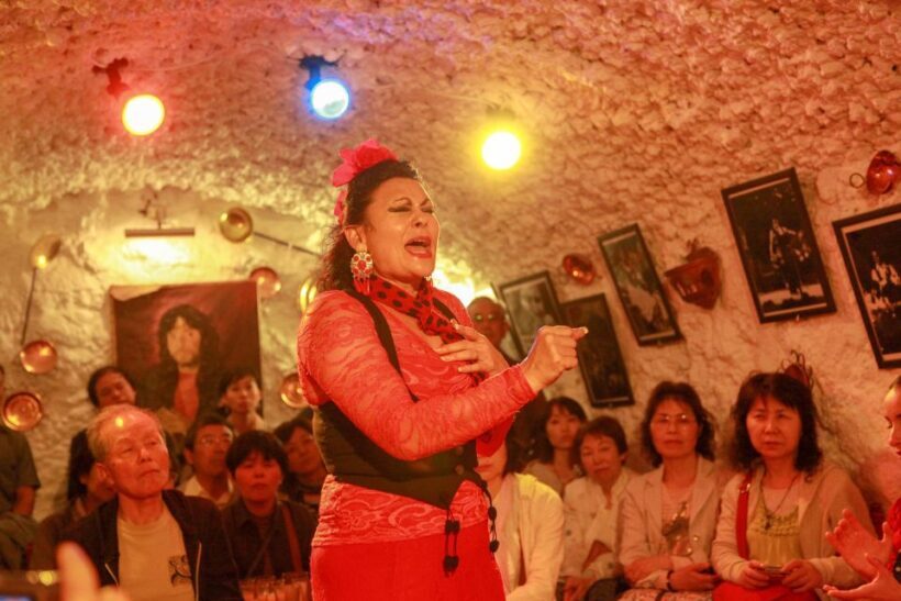 Granada: Sacromonte Caves Flamenco Show with Dinner - Final Thoughts