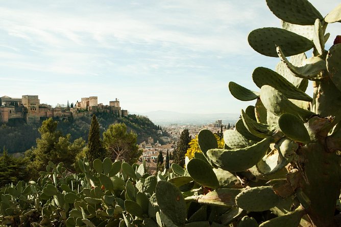 Granada: Sacromonte Private Tour - Physical Requirements