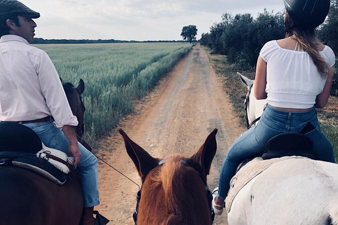 Granada & Sierra Nevada Horse Riding Tour - An Authentic Ride in the Shadow of Sierra Nevada