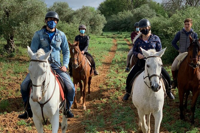 Granada & Sierra Nevada Horse Riding Tour - Practical Aspects & What to Expect