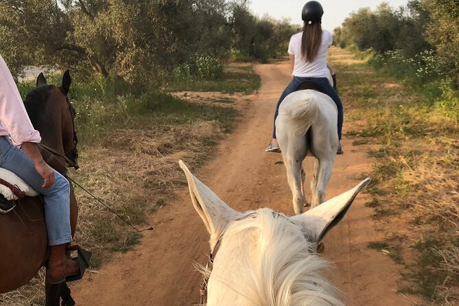 Granada & Sierra Nevada Horse Riding Tour - What Reviewers Say