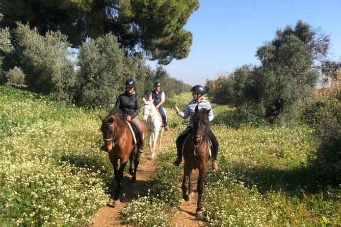 Granada & Sierra Nevada Horse Riding Tour - FAQ