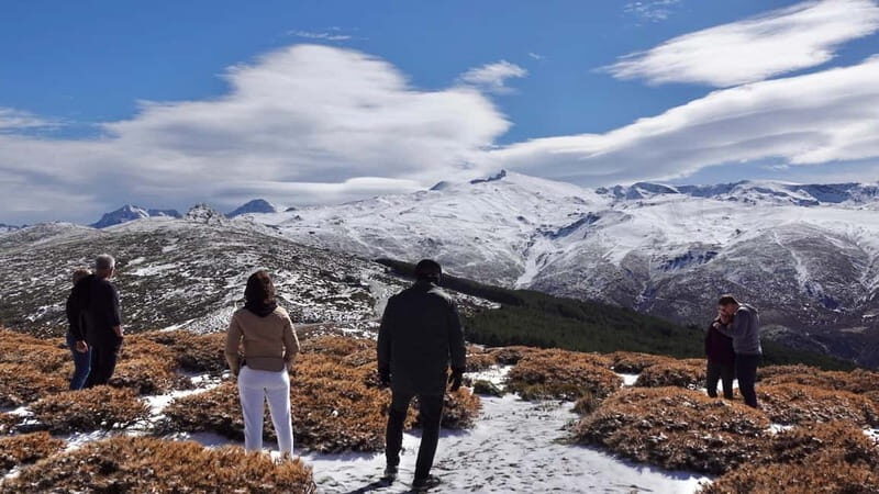 Granada: Sierra Nevada Safari Tour to 2500 m with a Drink - Transportation and Practicalities