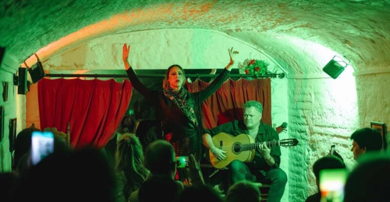 Granada: Traditional Flamenco Show in a Cave Entry Ticket - The Flamenco Performance