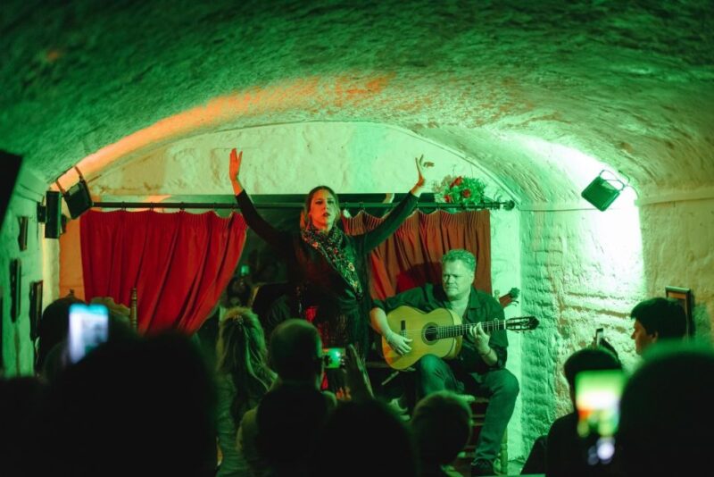 Granada: Traditional Flamenco Show in a Cave Entry Ticket - The Experience on Stage