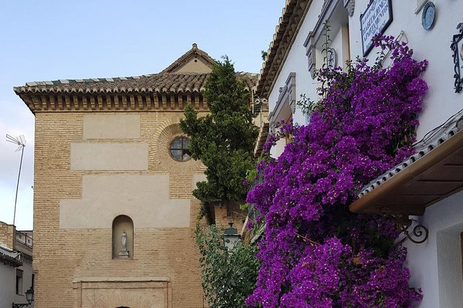 Granada Walking Tour: Albaicin and Sacromonte Quarters - Traveler Reviews and Ratings
