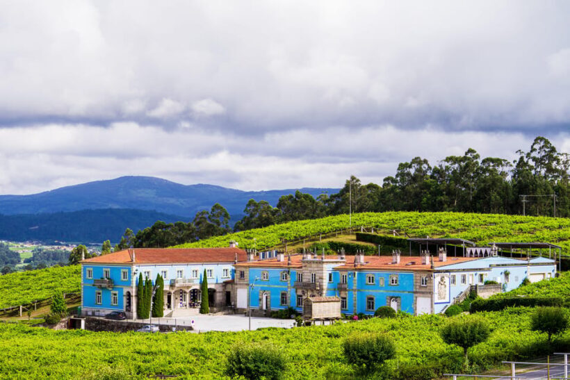 Granbazán Winery: Guided Tour and Wine Tasting - Key Points