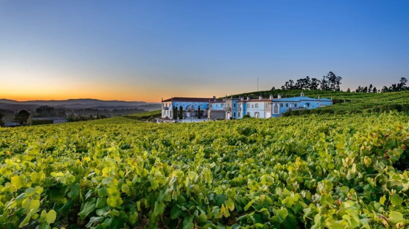 Granbazán Winery: Guided Tour and Wine Tasting - FAQ
