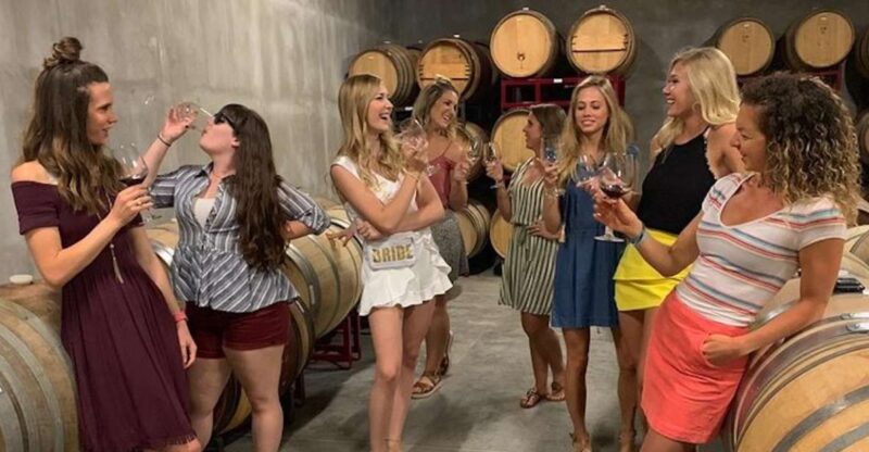 Granbury: Wine Tour with Charcuterie and Local Tastings - An In-Depth Look at the Granbury Wine Tour