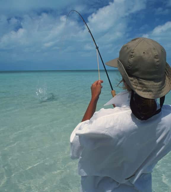 Grand Bahama Island: Bottom Fishing Excursion - Key Points