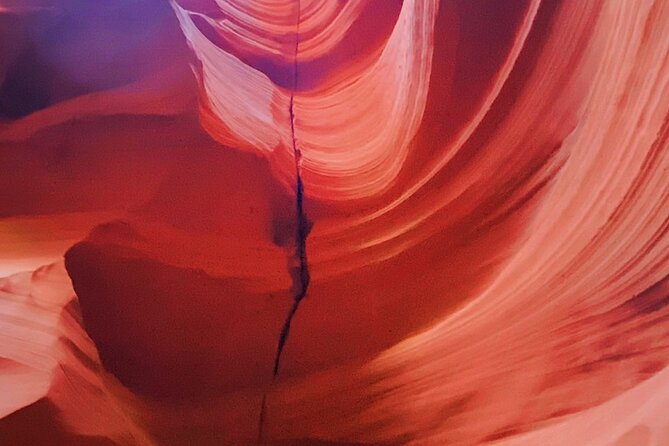 Grand Canyon, Antelope Canyon and Horseshoe Bend Day Tour - Who Would Love This Tour?