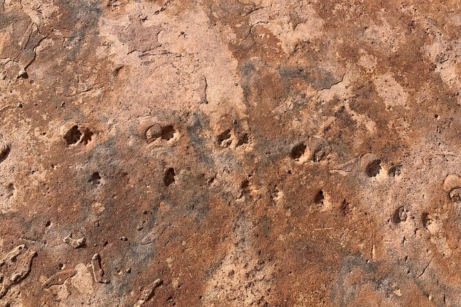 Grand Canyon Biblical Creation Hiking Tour • South Kaibab Trail - FAQs