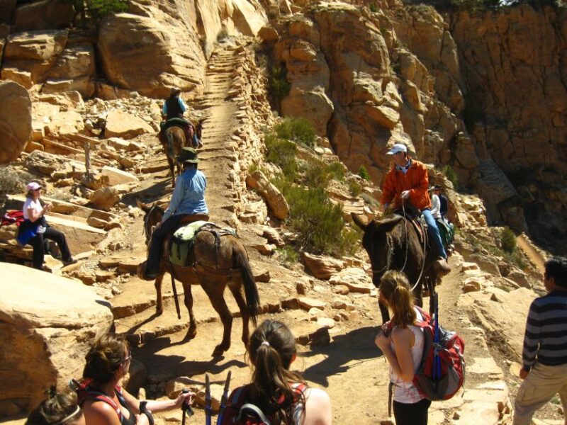 Grand Canyon Full-Day Hike from Sedona or Flagstaff - The Guides and the Small Group Advantage