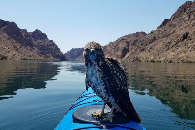 Grand Canyon Helicopter Flight with Emerald Cave Kayak Tour - Final Thoughts: Who Should Book?