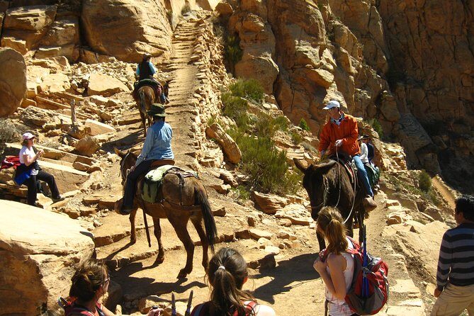 Grand Canyon Hike with Sedona and Flagstaff Hotel Pickup - Real-World Insights from Reviews