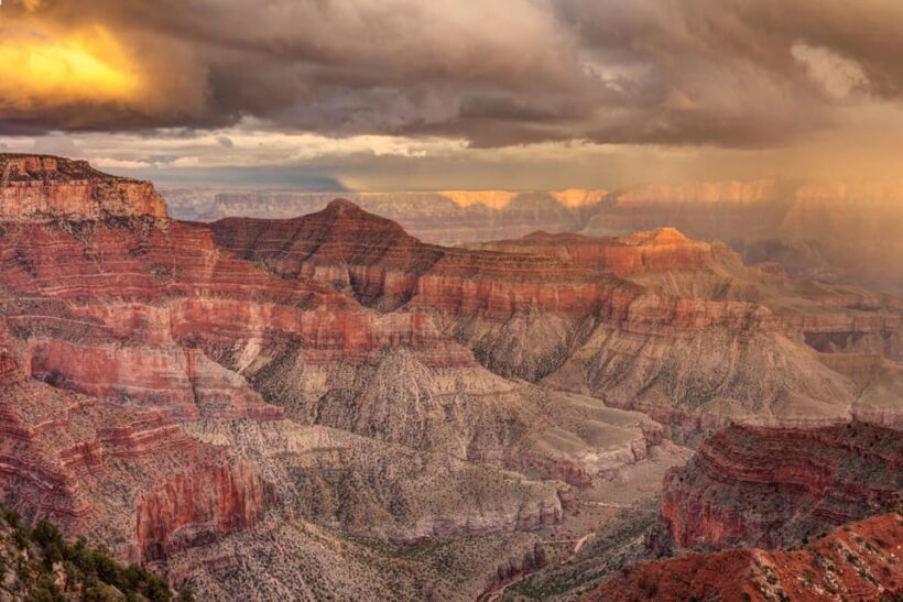 Grand Canyon Hoover Dam and Joshua Tree VIP Small Group Tour - Authentic Insights from Travelers