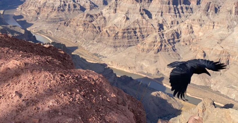 Grand Canyon & Hoover Dam: Private Tour from Las Vegas - Pricing and Value
