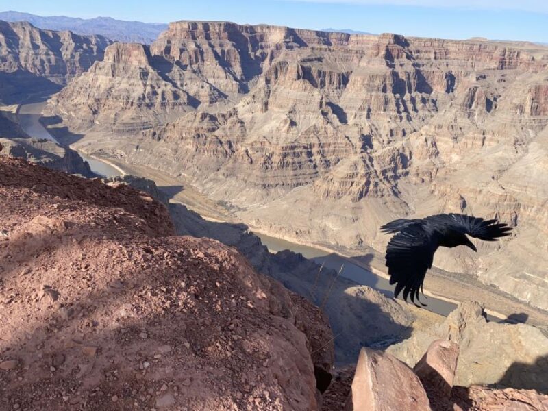 Grand Canyon & Hoover Dam: Private Tour from Las Vegas - FAQ