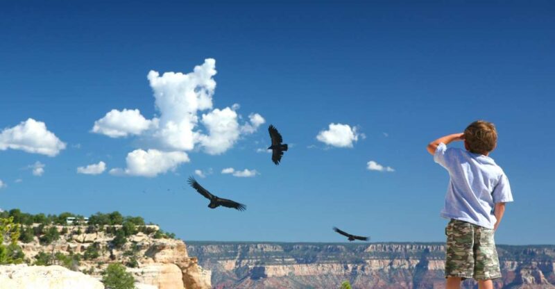 Grand Canyon: Morning Off-Road Safari with Skip the Gate - Analyzing the Value