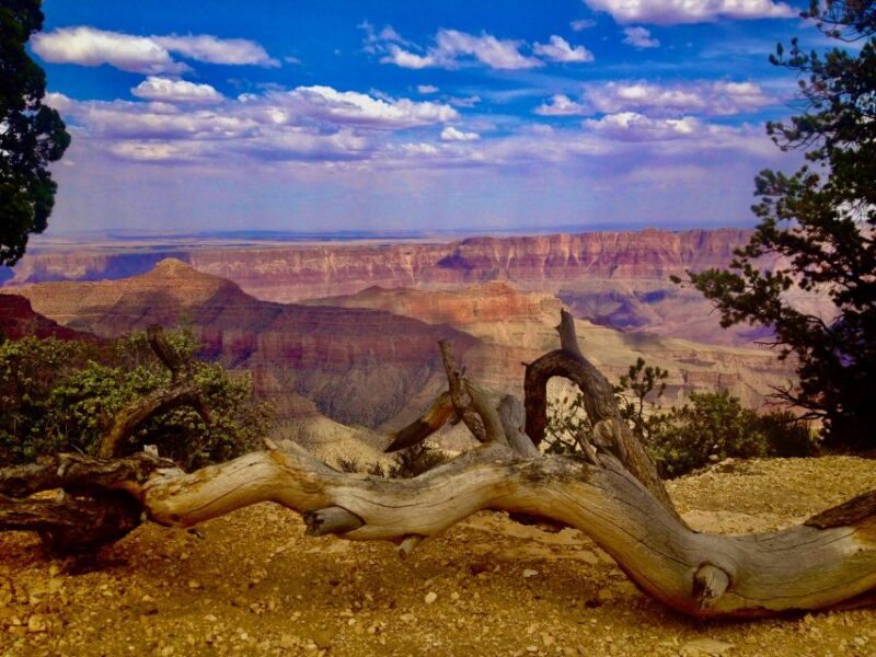 Grand Canyon: North Rim Private Group Tour from Las Vegas - Final Thoughts: Who Should Consider This Tour?