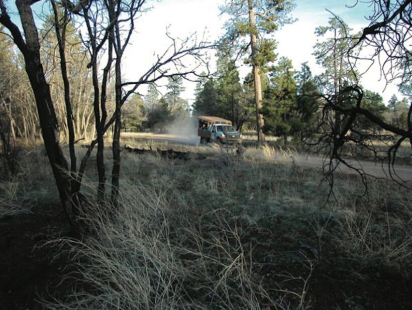 Grand Canyon: Off-Road Sunset Safari with Skip-the-Gate Tour - Who Should Consider This Tour?