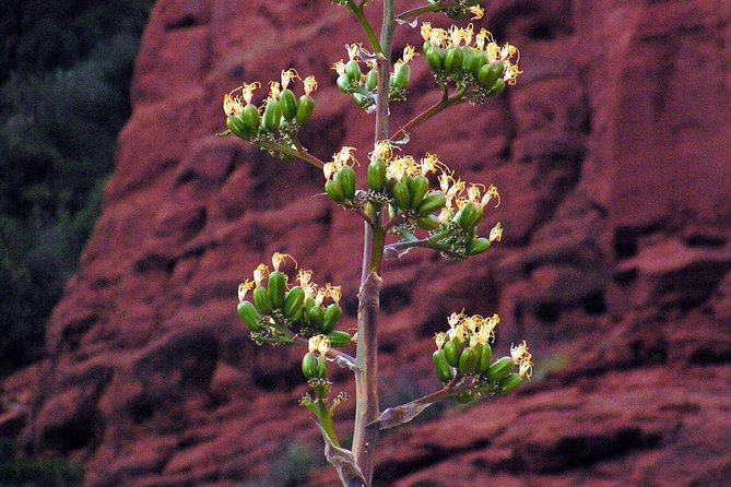 Grand Canyon South Rim Day Trip from Flagstaff - A Practical Look at the Grand Canyon South Rim Day Trip