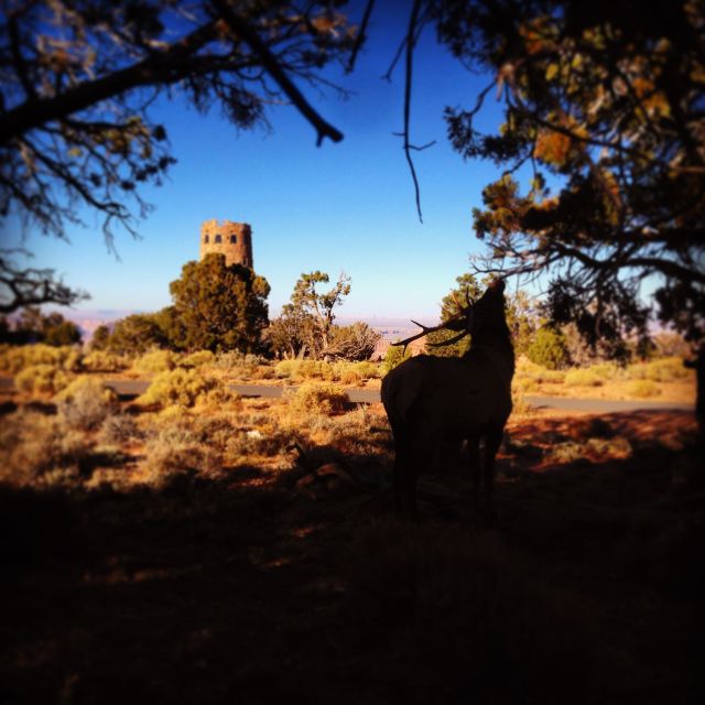 Grand Canyon: Sunset Tour from Biblical Creation Perspective - The Sum Up: Who Will Love This Tour?